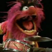 Drummers You Should Know (part 4): Animal | Elephant Drums